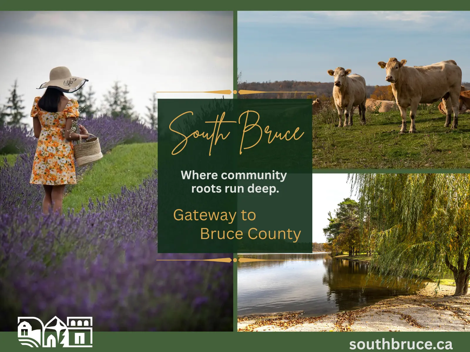 Economic Development | Municipality of South Bruce